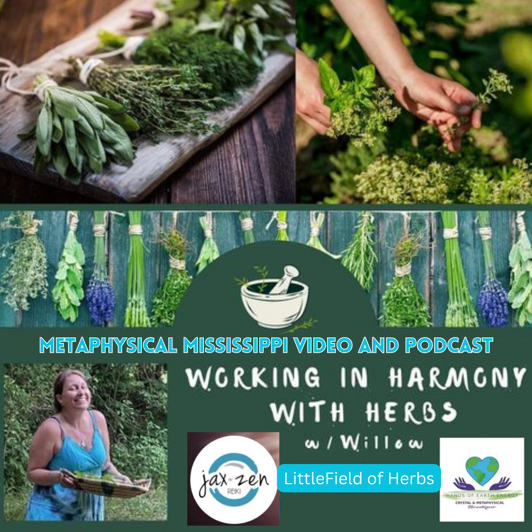 Working in Harmony with Herbs with Willow - We discuss Samhain, the ...